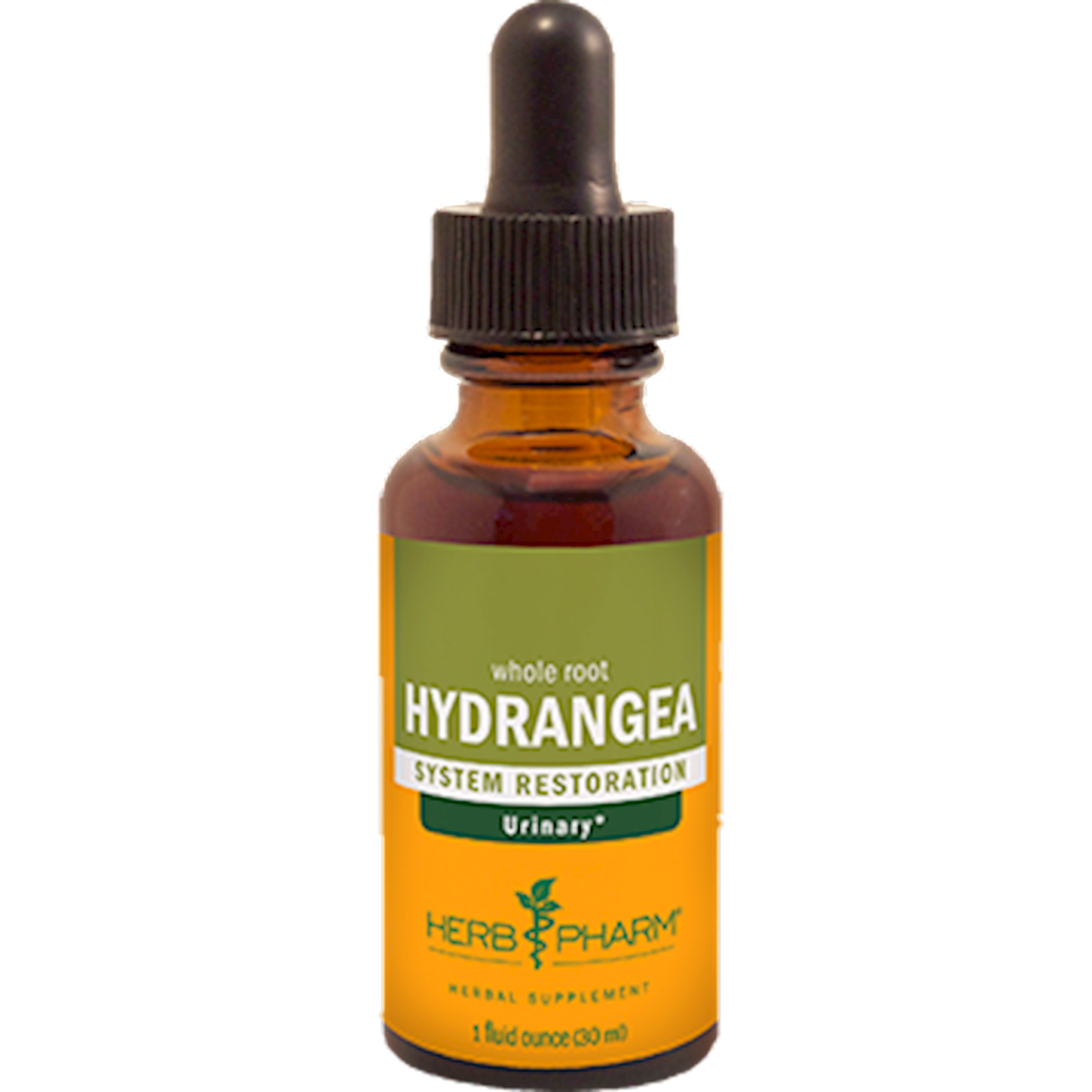 Hydrangea | HYD10 | Herb Pharm