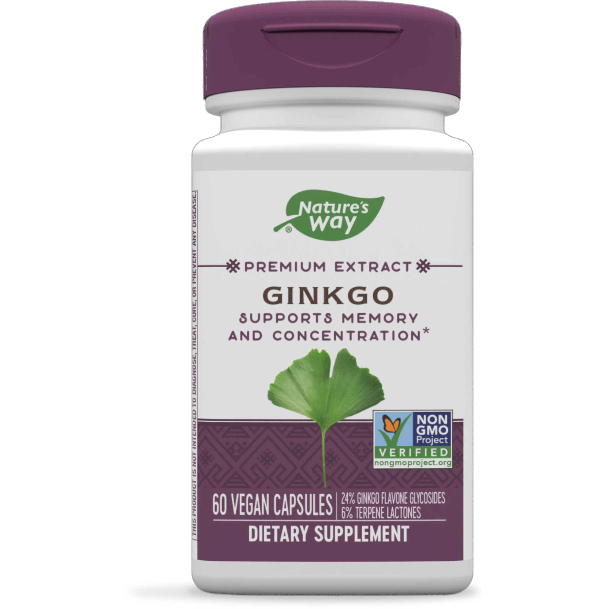 Ginkgo Extract | GIN92 | Nature's Way